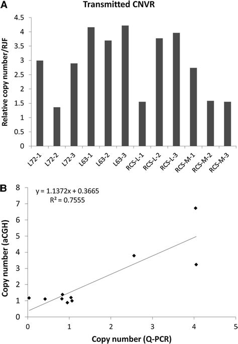 Validation Of Copy Number Variations By Q Pcr A Q Pcr Validation Of Download Scientific