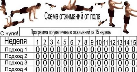 Отжимания от пола: программа для начинающих, техника и варианты ...