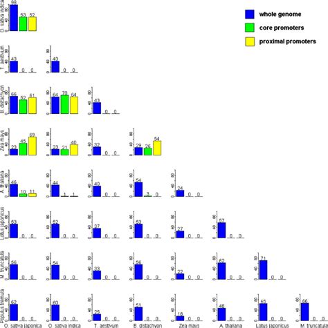 Pairwise Comparison Of Common Putative Motifs In The Whole Genome Core