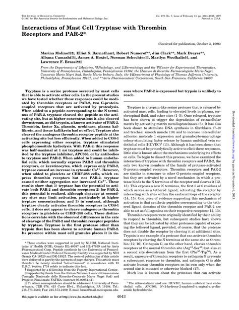 Pdf Interactions Of Mast Cell Tryptase With Thrombin Receptors And Par 2