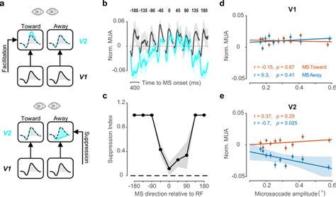 The Suppression Contributes To Direction Specific Microsaccade Download Scientific Diagram