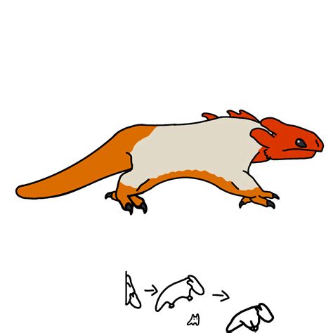 Gliding Lizard Rrainworld