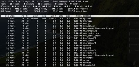 how to check cpu usage in linux command line