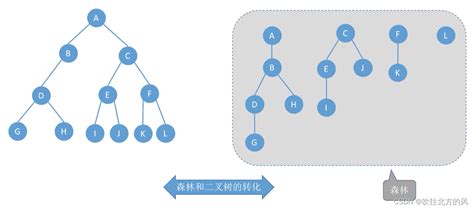 【数据结构复习之路】树和二叉树（严蔚敏版）万字详解and主打基础二叉树抽象数据类型定义严蔚敏 Csdn博客