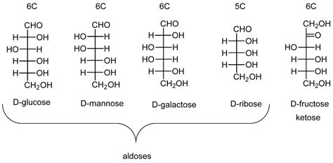 Monosaccharides Structure