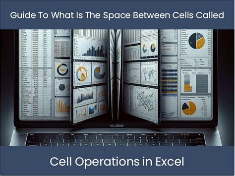 Guide To What Is The Space Between Cells Called