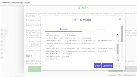 渗透测试工具zap入门教程（2） Hud教程zap教程 Csdn博客