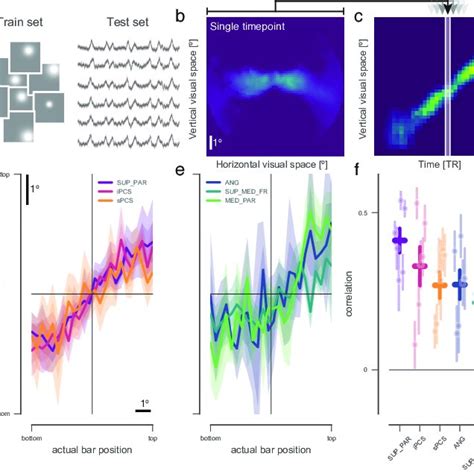 Decoding Of Visual Location Using A Forward Model We Decoded The Download Scientific Diagram