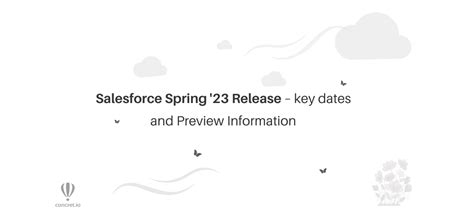 Salesforce Spring 23 Release Key Dates And Preview Information