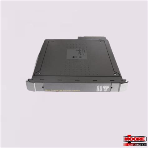 T ICS TRIPLEX Digital Input Module