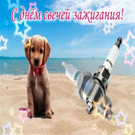 Telegram Sticker 🍺 From «С днем цемента Pack