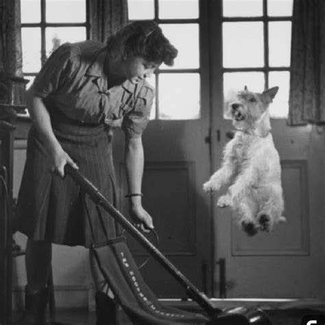 Caro Sardella Carosardella • Threads Say More