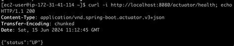 automatiser le déploiement d une application dans un ec2 aws codedeploy