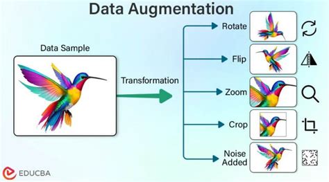What Is Data Augmentation And How Does It Work
