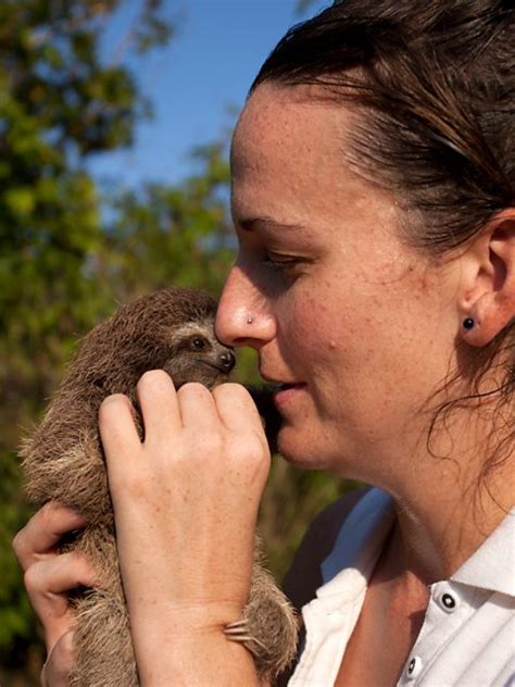 Bbc One Natures Miracle Orphans Series 1 Sam Trull