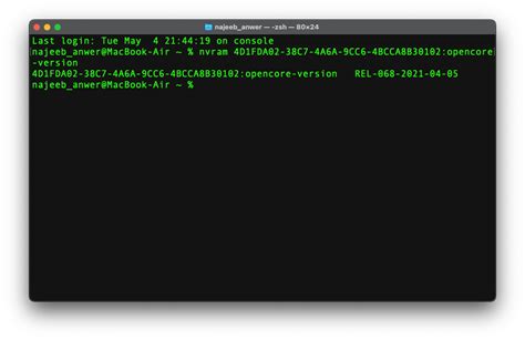 Incorrect Version Of Opencore In Nvram · Issue 1622 · Acidanthera
