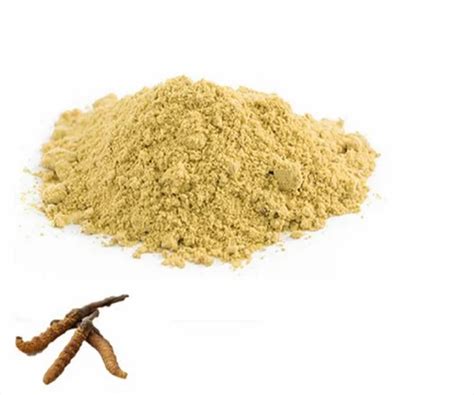 Organic Keeda Jadi Powder At Rs 1200gram Cordyceps Powder In Gurugram Id 2853476292133