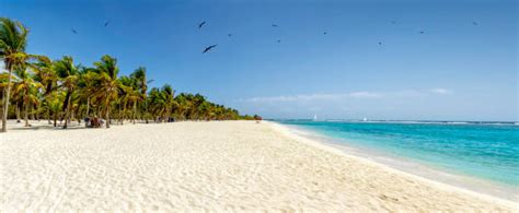 Playas Venezolanas Banco De Fotos E Imágenes De Stock Istock