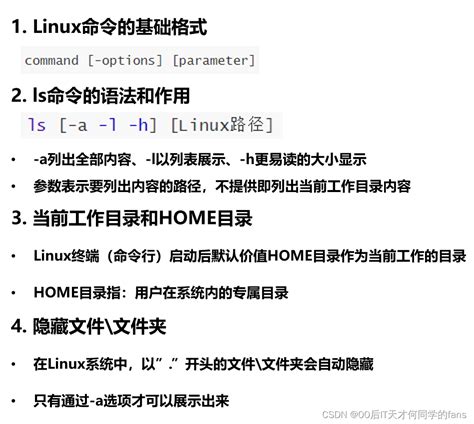 Linux学习笔记 Linux基础命令part1linux的home Csdn博客
