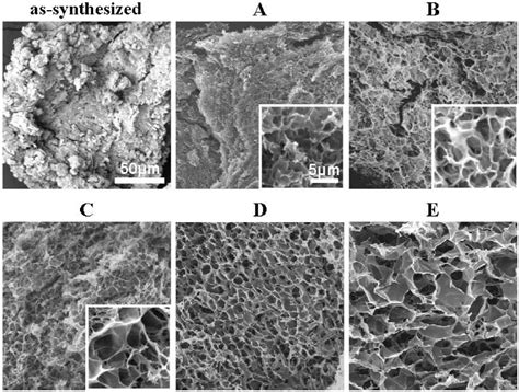 Sem Micrographs Of The As Synthesized Smdehp 3 And Its Cryogels