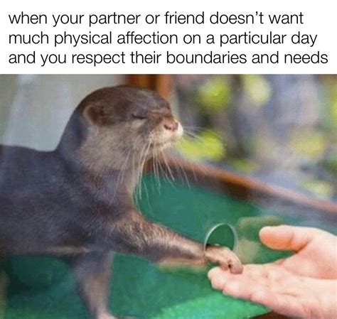 Consent And Respecting Boundaries Is Important Rwholesomememes