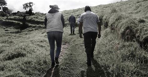 Denuncian Que Banacol Empresa Investigada Por Nexos Con Paramilitares Quiere Construir En Un