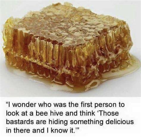 Honey Pot Memes