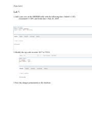 Chapter 5 Lab Docx Type Course Hero