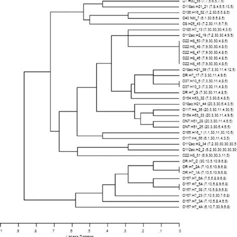dendrogram based on mlva multiple locus variable number tandem repeat