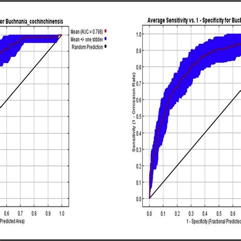 Auc Area Under Curve Graph Showing Model Performance The Year A Download Scientific Diagram