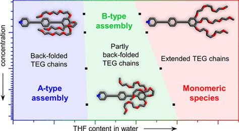 Pathway Controlled Aqueous Supramolecular Polymerization Via Solvent Dependent Chain