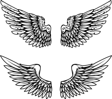 Eagle Feather Illustrations Royalty Free Vector Graphics And Clip Art Istock