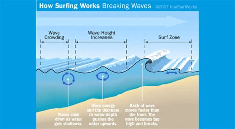 How To Catch A Wave Learn To Surf Basics