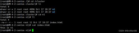 docker部署nginx集群 docker搭建nginx集群 csdn博客