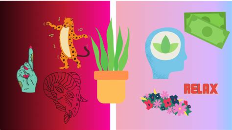 Sex Magic Expectation Vs Reality