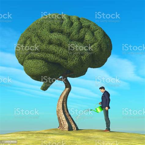 인간의 뇌 모양의 나무를 급수하는 사람 교육 개념입니다 3d 렌더링 성장 개념에 대한 스톡 사진 및 기타 이미지 성장 개념