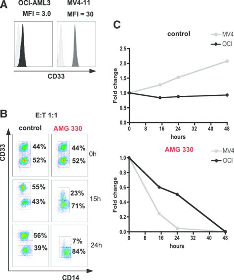 Amg 330 Mediated Lysis Of Aml Cell Lines Is Dependent On Cd33