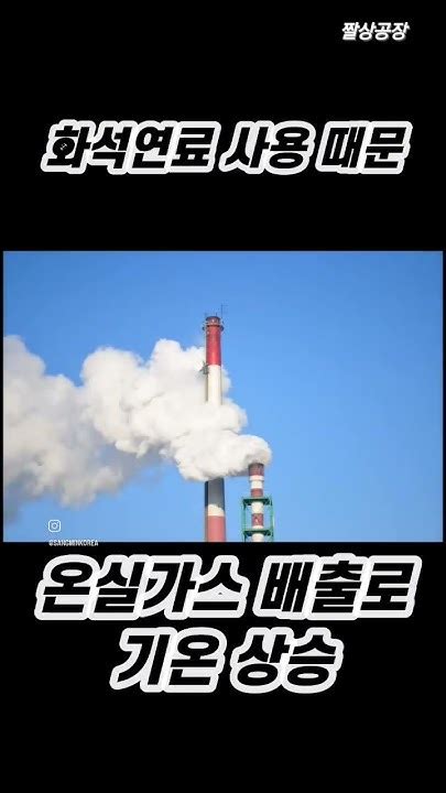 🧊남극의 얼음이 녹으면 어떻게 될까 💧🌏 뉴스 Youtube