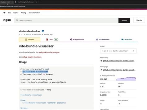 Vite Bundle Analyzer A Vuejs Lesson From Our Vuejs Course The