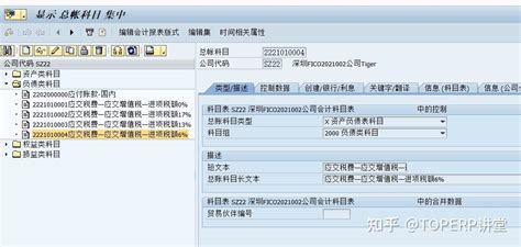 sap fi ap后台配置（bp 税 付款条件 特殊总账 备选统御） 知乎