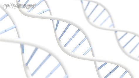 Simplified Dna Molecular Structure 이미지 609796388 게티이미지뱅크