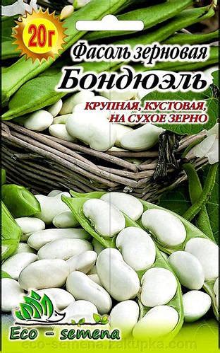 Гигант Фасоль зерновая Бондюэль (Белая) 20 г (ID#1355305408), цена: 10 ...