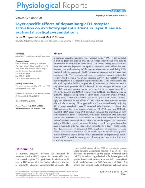 Pdf Layer Specific Effects Of Dopaminergic D1 Receptor Activation On