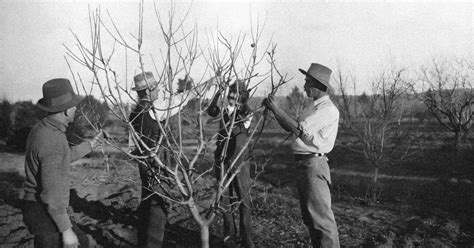 holy pruning faith lead