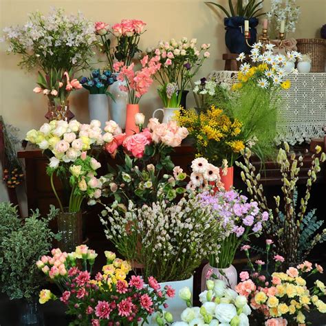 이숲포터리 식물가게 자체 제작 수제화분화병 ⠀ 영상 2도의 날씨가 이렇게 따뜻했었나요 오랜만에 패딩없이도 잠시 외출 가능한~ ⠀ ⠀ ⠀ ⠀ 행궁동꽃집광교