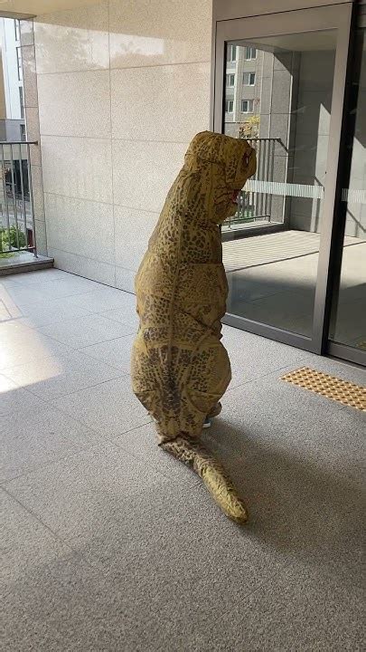 2022년 할로윈 공룡 코스튬 착용 Youtube