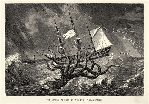 El Kraken Mito Y Realidad De Un Monstruo Marino