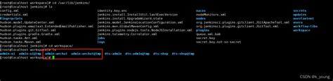 Jenkins部署vue项目详细步骤jenkins 部署vue Csdn博客