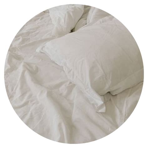 Softer Media Information For Wa Based Sex Workers And Allies