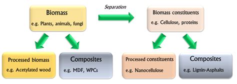 Bio Based Polymers For Engineered Green Materials